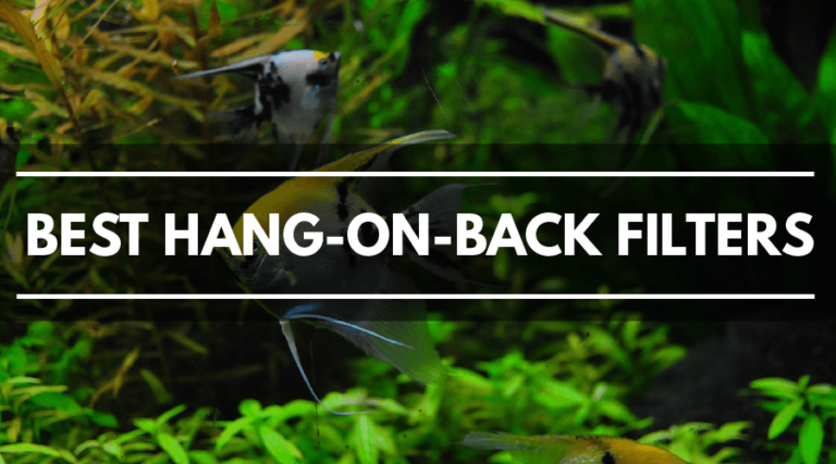 Best Hang On Back Filter: Top Five Reviews For 2018