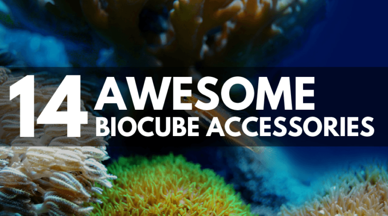 14 Must Have Accessories for your Coralife BioCube