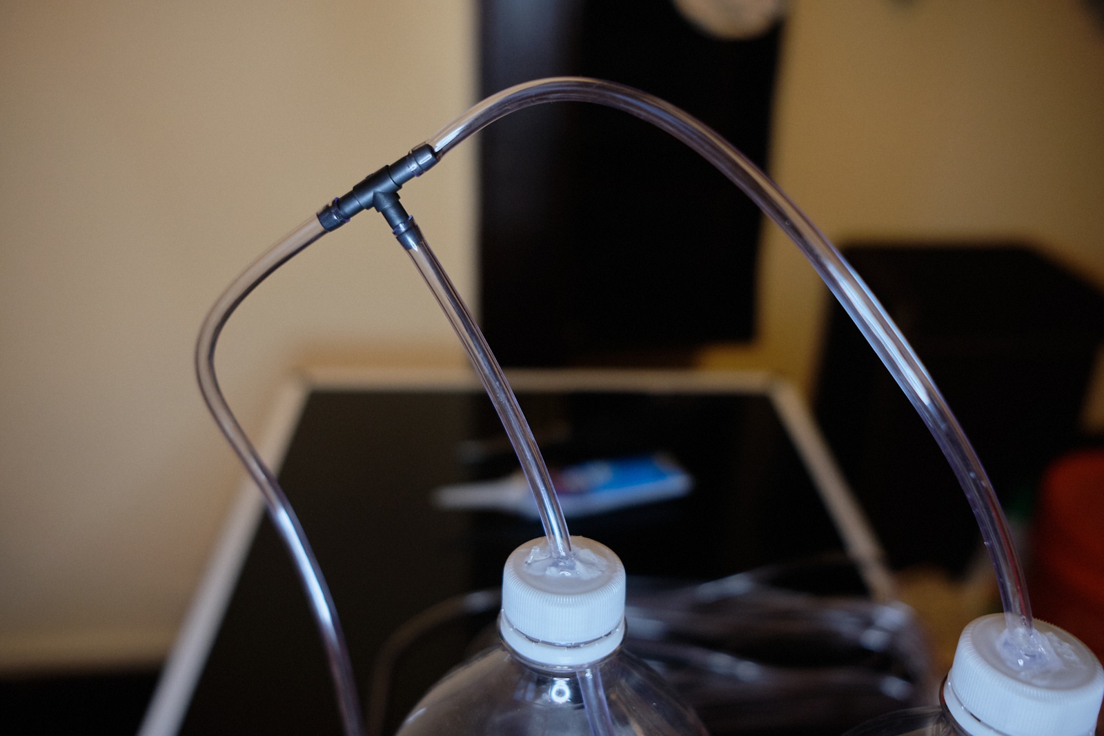 How to Make a DIY CO2 Reactor for Your Planted Aquarium