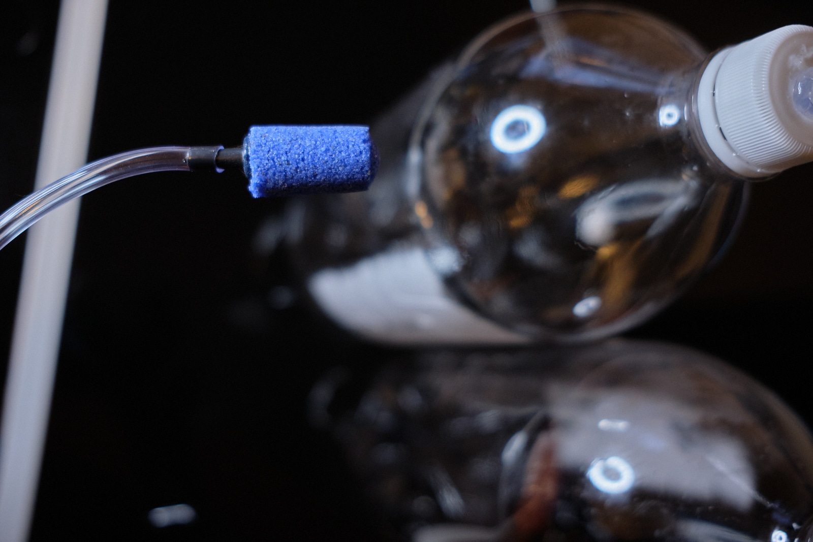 How to Make a DIY CO2 Reactor for Your Planted Aquarium