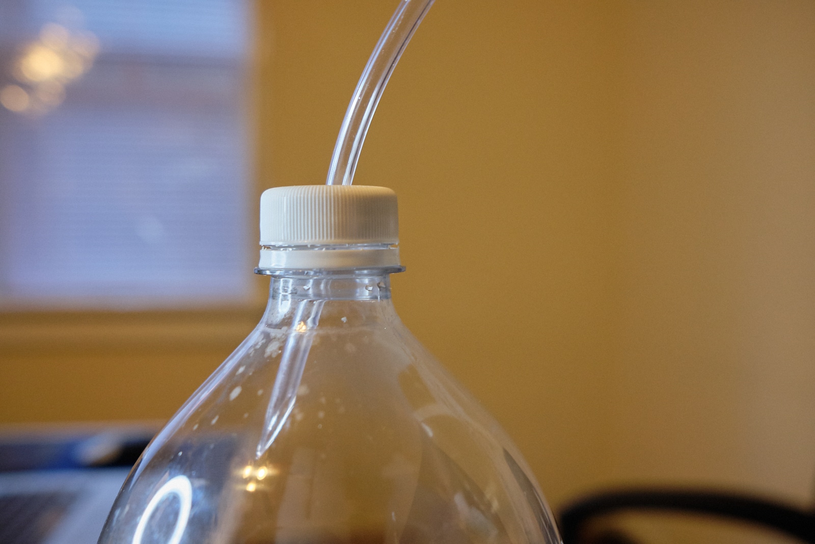 How to Make a DIY CO2 Reactor for Your Planted Aquarium