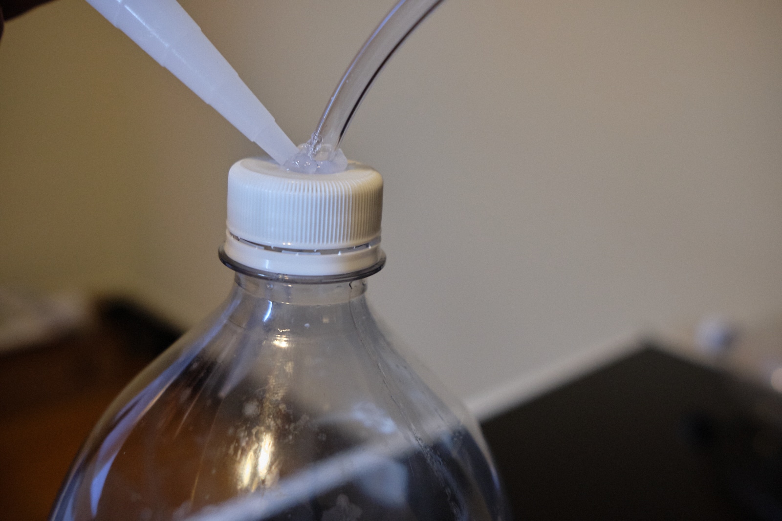 How to Make a DIY CO2 Reactor for Your Planted Aquarium