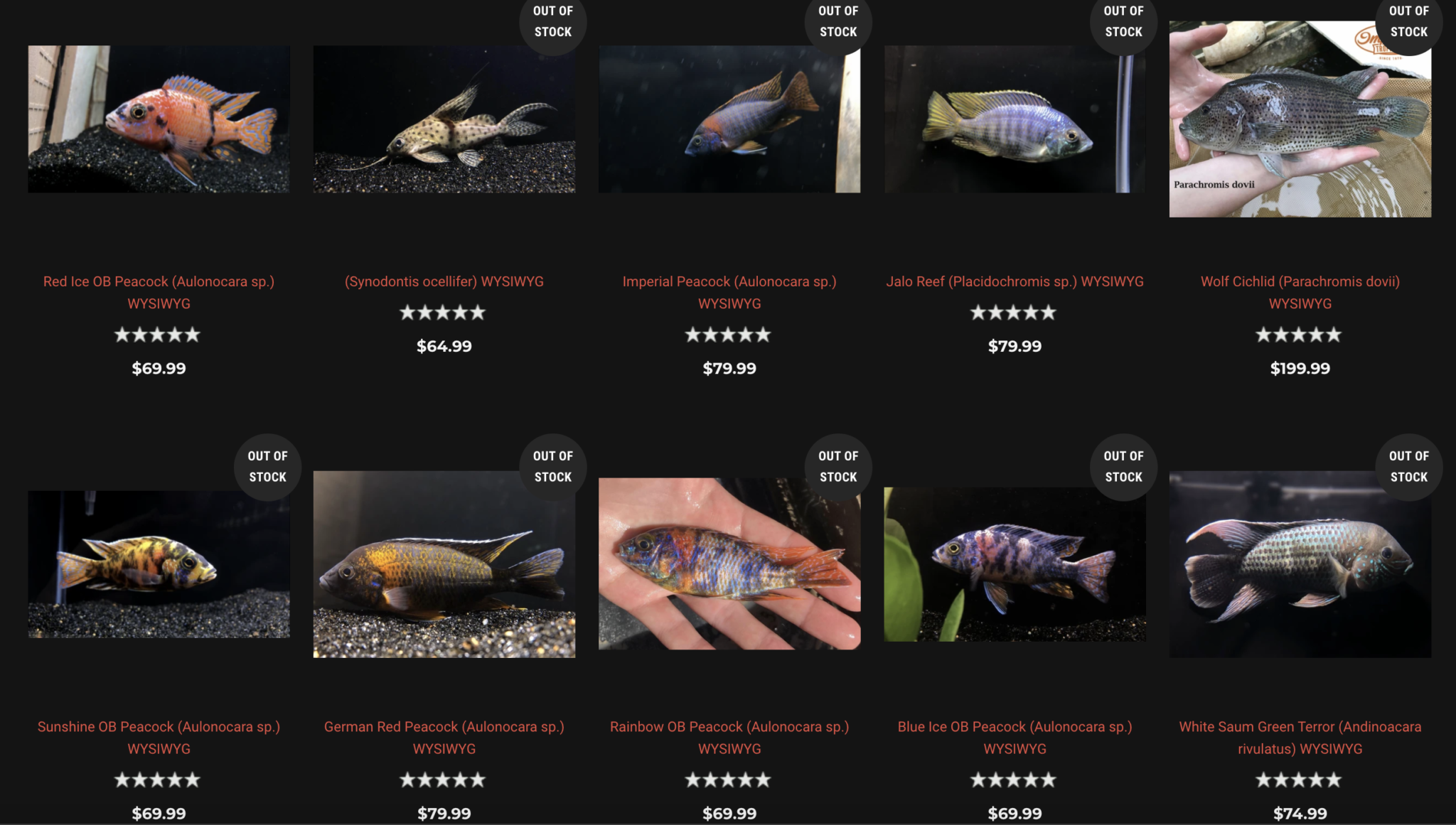 12 Best Online Fish Stores to Buy Live Fish, Plants, Shrimp & More