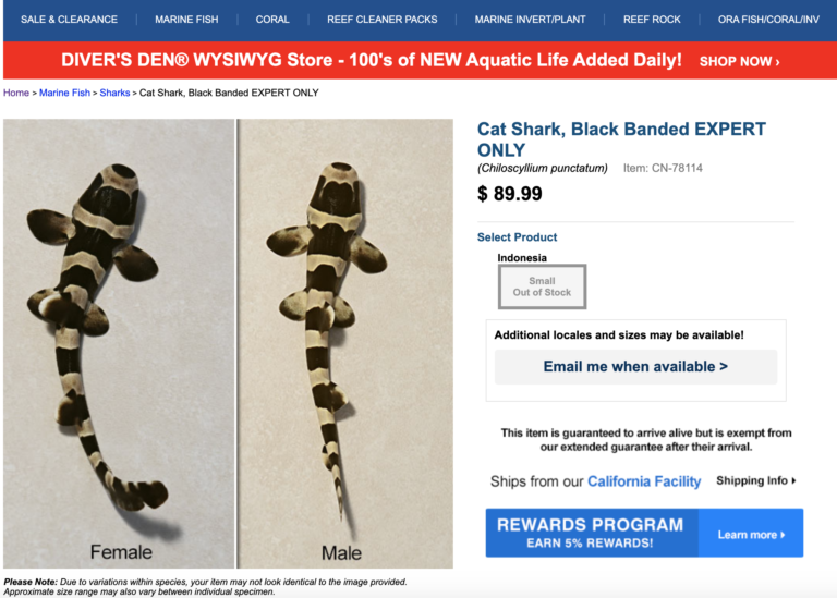 12 Best Online Fish Stores to Buy Live Fish, Plants, Shrimp & More