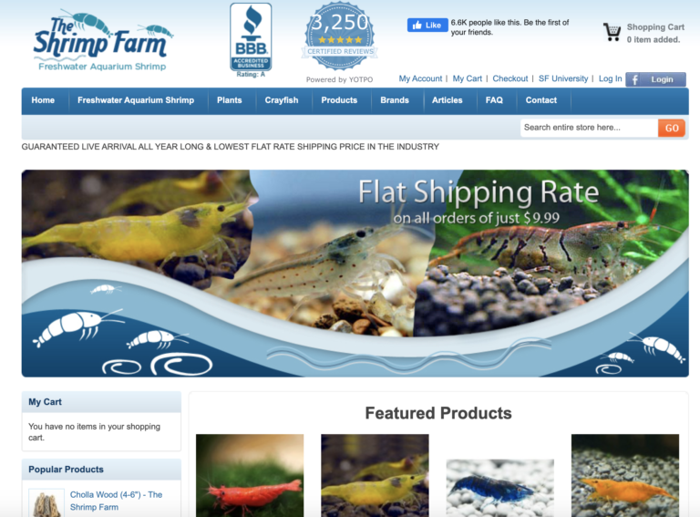 12 Best Online Fish Stores to Buy Live Fish, Plants, Shrimp & More