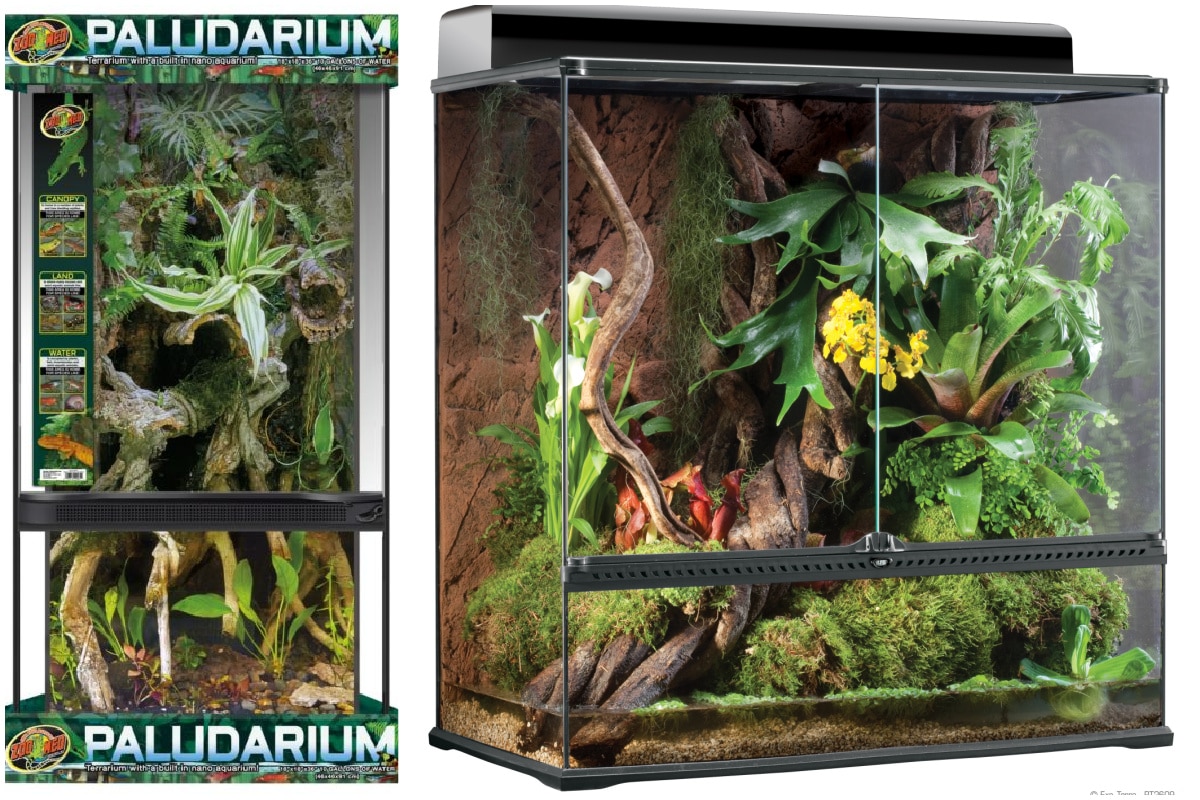 Combining Water and Land in a Paludarium Tank