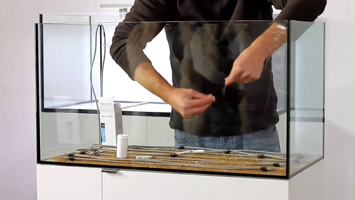 How To Pick The Right Aquarium Heater Size