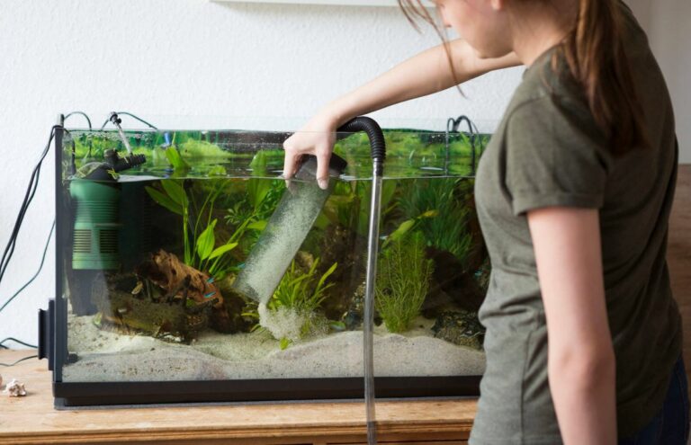 Interesting Facts About Fish Poop & How To Keep Your Aquarium Clean