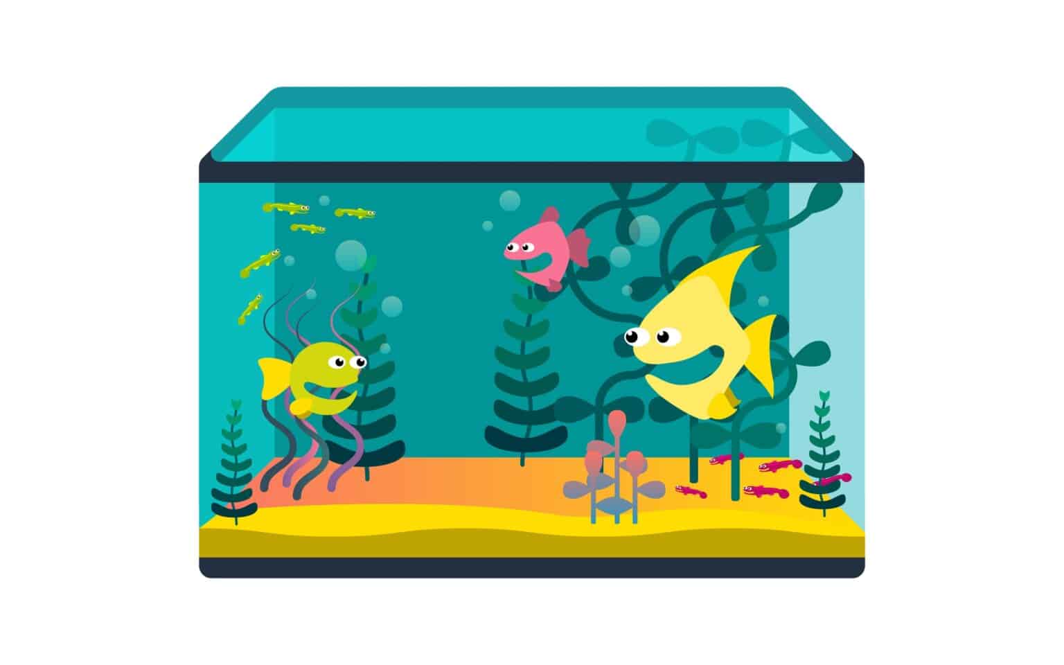 Aquarium Calculator for Fish Tank Volume